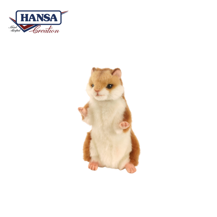 3739 Hamster - หนูแฮมเตอร์ | Lazada.co.th