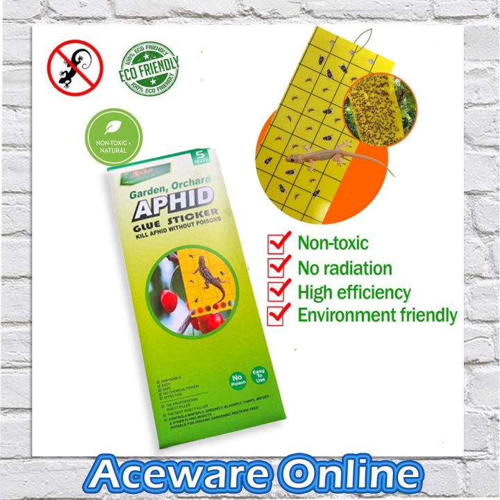 Lizard Gecko Strong Adhesive Sticky Glue Trap Boards for Pest Control ...