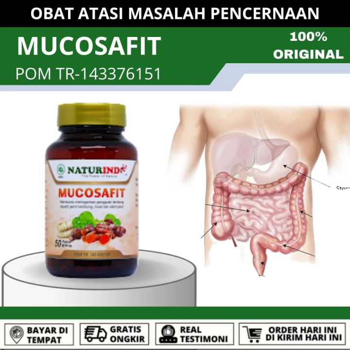 Obat Maag Magh Gerd Kronis Nyeri Ulu Hati Mual Asam Lambung Herbal ...