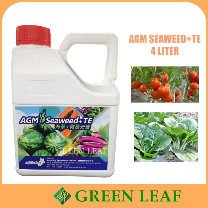AGM Seaweed+TE 4L Baja Rumput Laut Seaweed Fertilizer 海草+微量元素 Cili ...