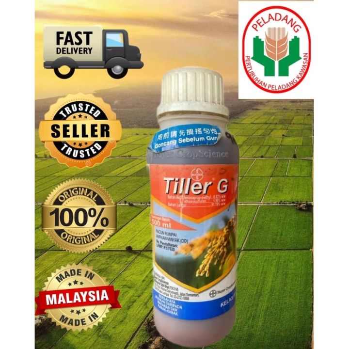 RACUN RUMPUT / RACUN RUMPAI / RACUN FENOXAPROP TILLER G 5 ML | Lazada