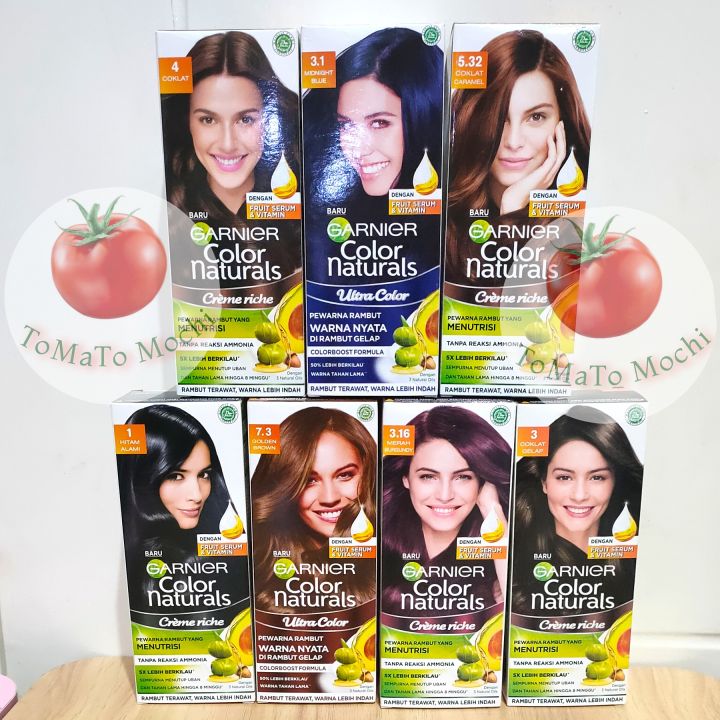 PROMO Garnier Color Naturals Pewarna Cat Rambut Natural Box SEmir ...