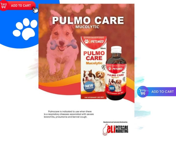PULMOCARE Syrup for Dog and Cat 60ml with FREE SYRINGE | Lazada PH