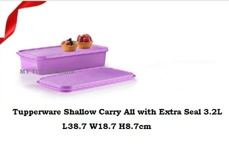 Tupperware Shallow Carry All With Extra Seal 3.2L (1) | Lazada