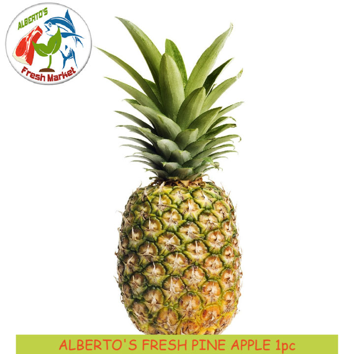 FRESH PINEAPPLE ( PINYA) 1pc | Lazada PH