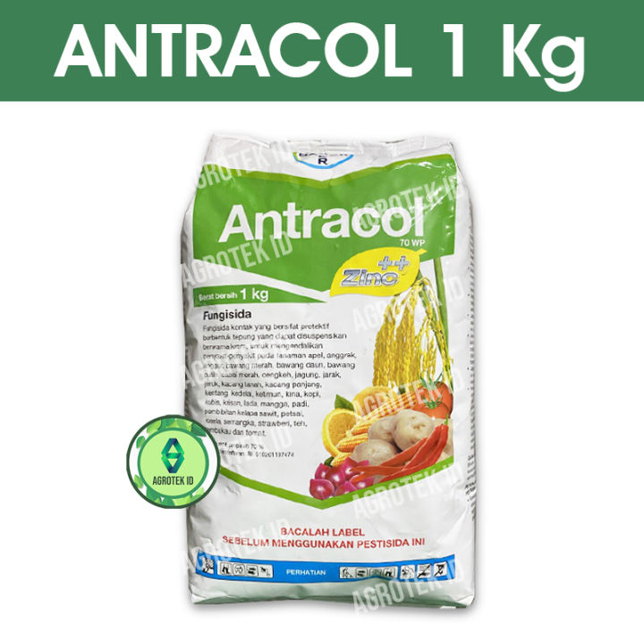 ANTRACOL 70 WP 1 Kilogram Fungisida Busuk Batang Embun Tepung | Lazada ...