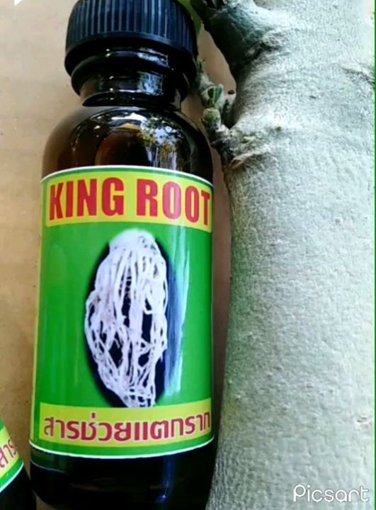 น้ำยาเร่งราก KING ROOT สาร กระตุ้น ราก | Lazada.co.th