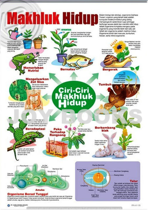 POSTER MAKHLUK HIDUP / IPA / ILMU PENGETAHUAN ALAM / SAINS / BIOLOGI ...