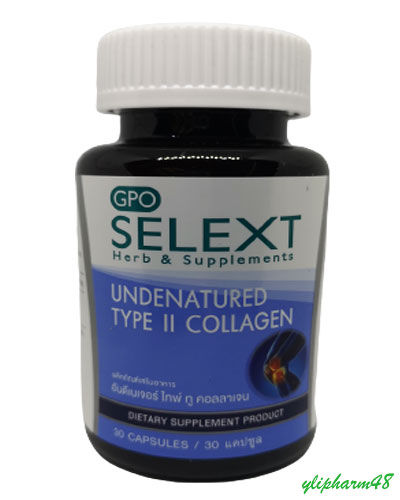 GPO SELEXT undenatured Collagen Type II คอลลาเจนไทพ์ทู 40 mg นำเข้าจาก ...
