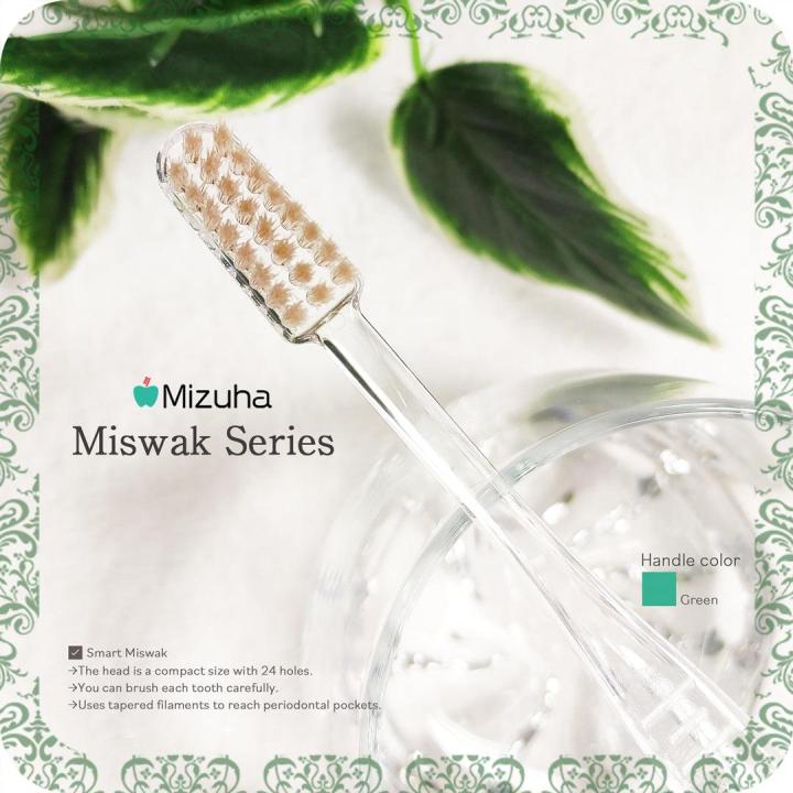 Smart Miswak Toothbrush- 2 Colors | Lazada Singapore