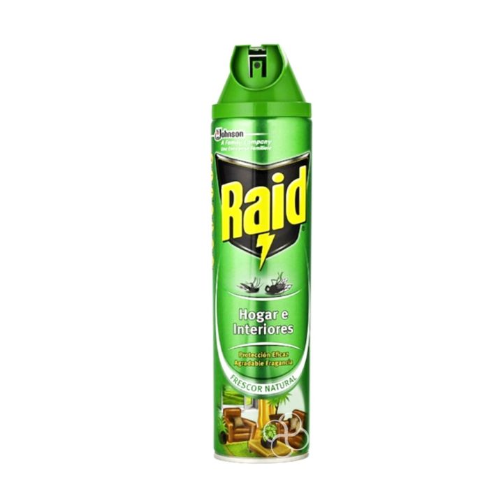 Raid Home & Interiors Insecticide Spray 600mL | Lazada PH
