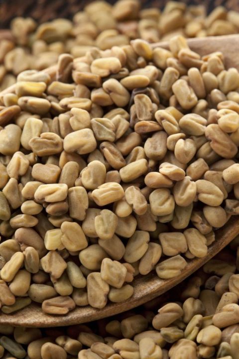 Fenugreek Seeds/ Halba 1kg | Lazada