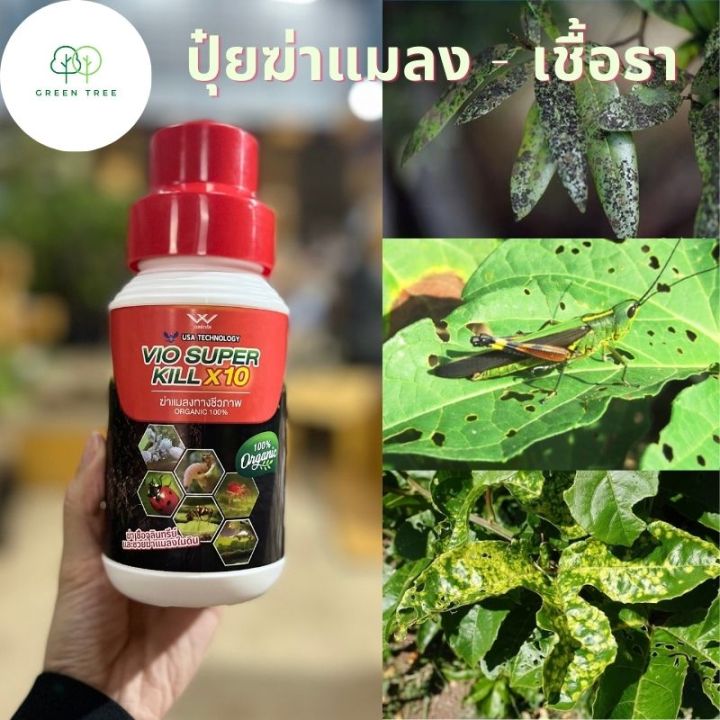 ปุ๋ย Vio Super Kill X10 ปุ๋ยชีวภาพฆ่าแมลงที่มีประสิทธิภาพถึง 10 เท่า ...