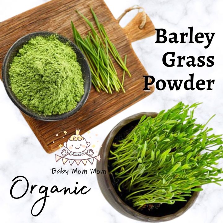 Barley Grass Powder 1KG 纯天然大麦草粉 Plant Tea Powder 大麦若叶青汁粉 | Lazada