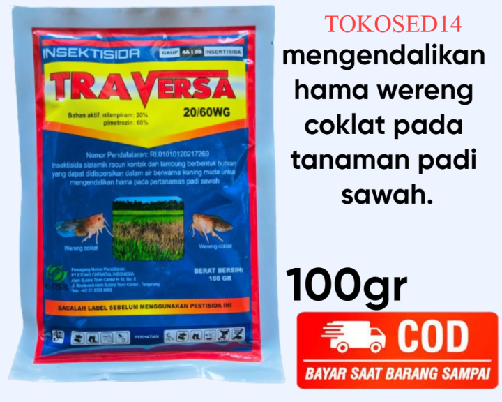 Insektisida TRAVERSA 20/60WG pembasmi wereng 100 gr | Lazada Indonesia