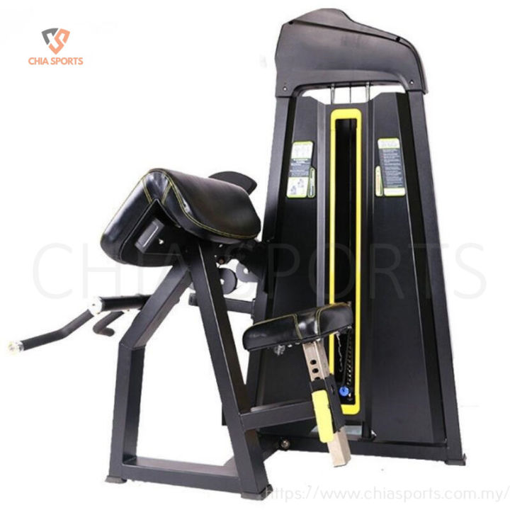 Dual Combo 2in1 Triceps Biceps Machine Muscle Arm Curls Extension ...