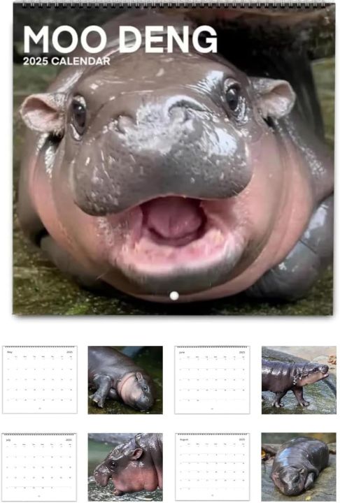 2025 Moo Deng Calendar, 2025 Moo Deng Pygmy Hippo Hangable Monthly Wall ...