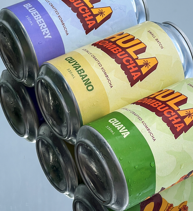 Hula Kombucha Box of 3 (330ml each) | Lazada PH