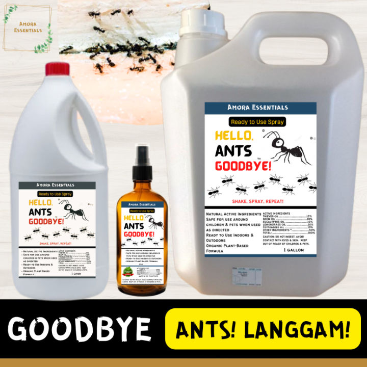 ANT KILLER SPRAY Spray for ants, termites, cockroach (Ant killer), Long ...