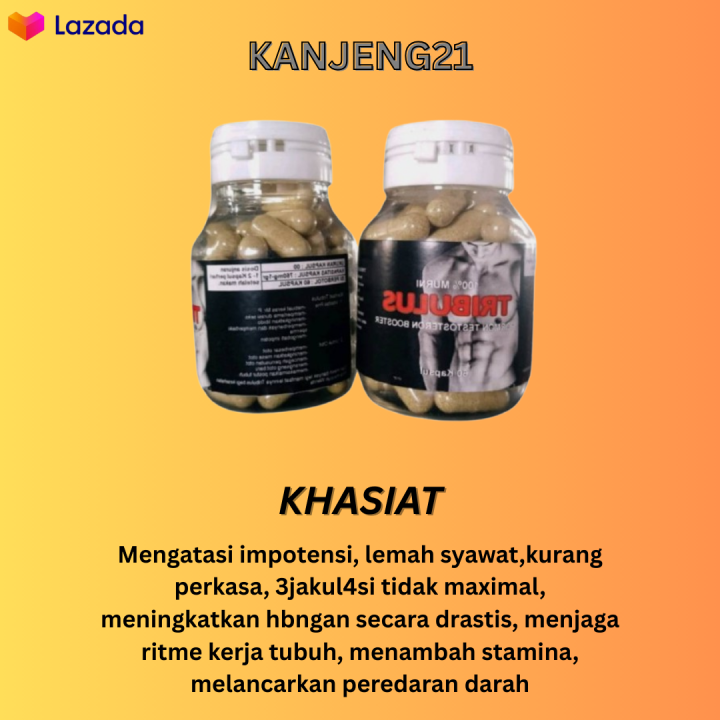 Kapsul tribulus hormon testosteron 60 kapsul | Lazada Indonesia
