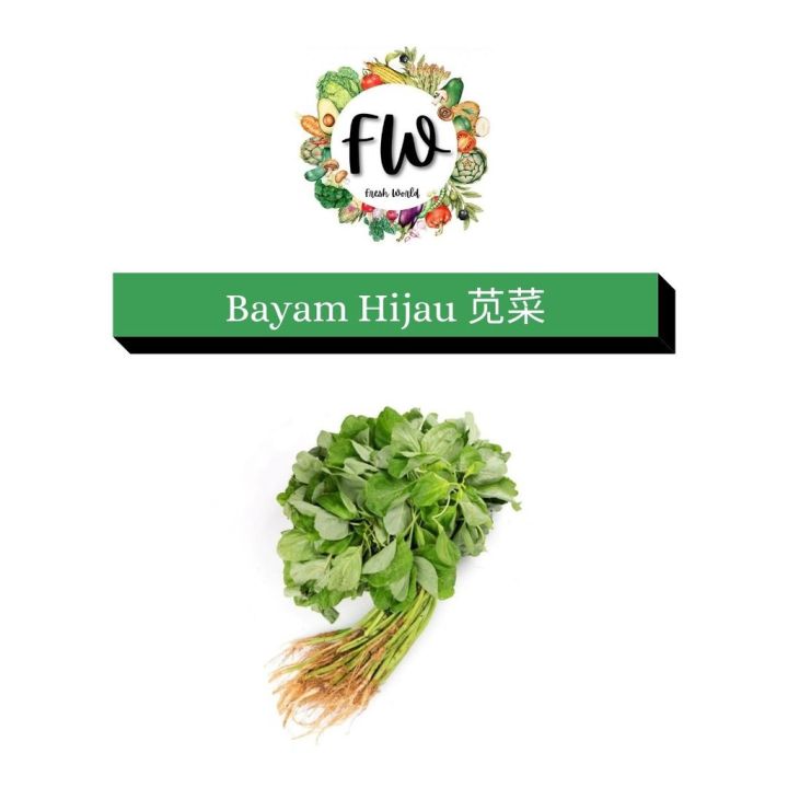 Chinese Spinach // Bayam Hijau 苋菜 1PKT(300g+/-) Daily Fresh Vegetable ...