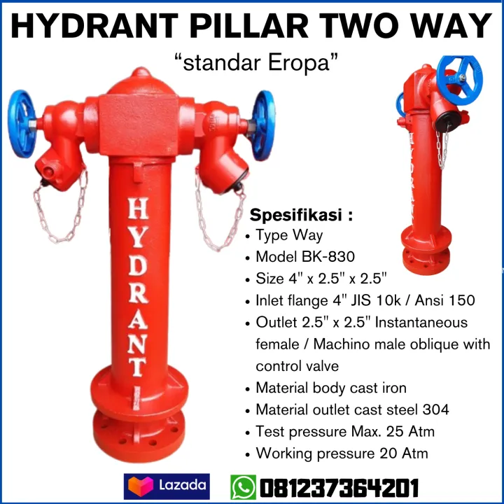 PILLAR HYDRANT TWO WAY EUROPE 4" x 2,5" x 2,5" BODY IRON CAST FLANGE ...