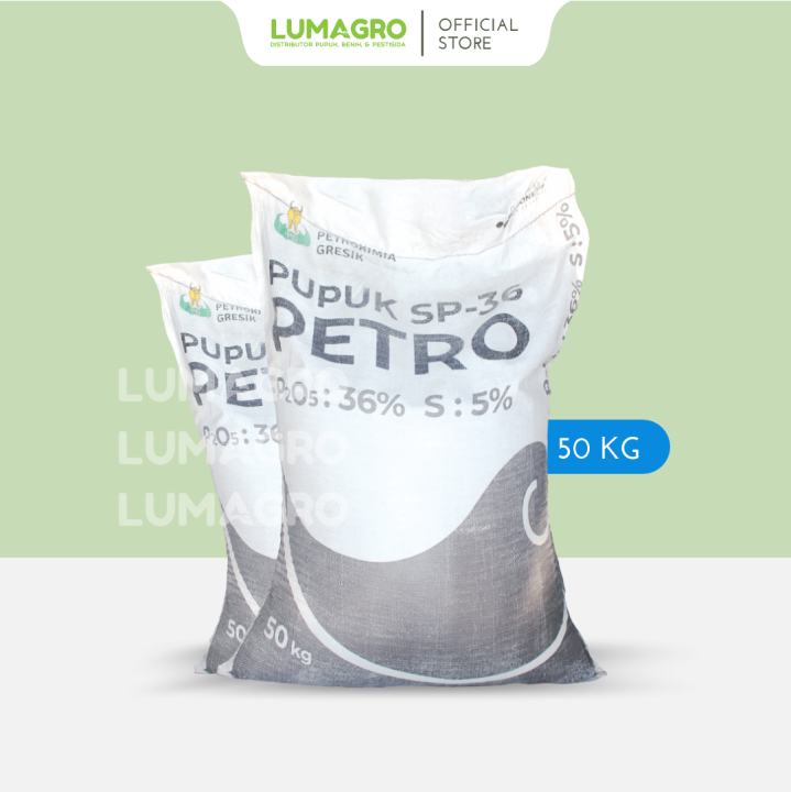 Pupuk SP-36 50kg Nutrisi Untuk Mempercepat Pertumbuhan Akar ...