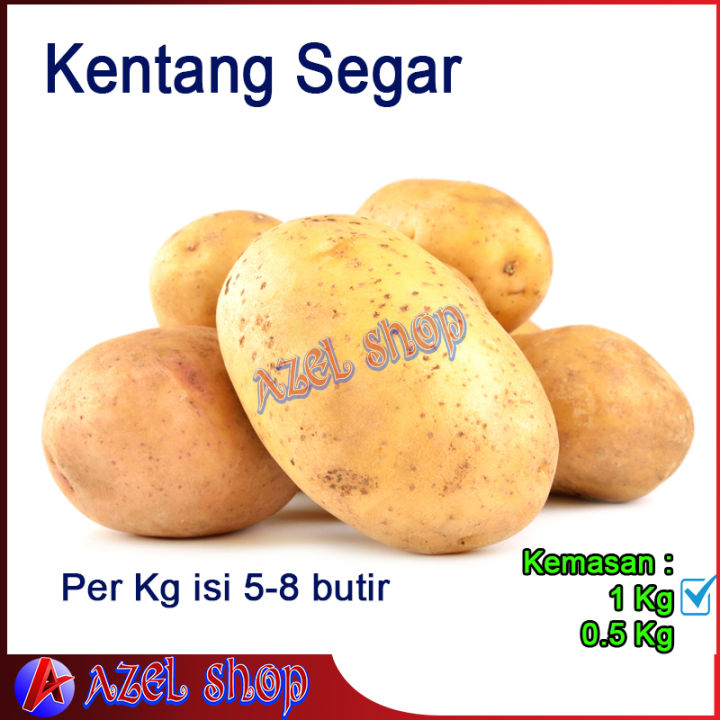 Kentang Segar Ukuran Besar Kemasan 1 kg per kg isi 5-8 butir | Lazada ...