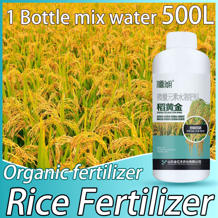 Rice specific fertilizer 500ML Organic fertilizer | Lazada PH
