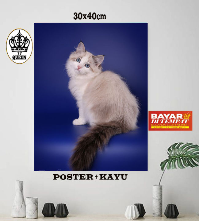 POSTER KAYU GAMBAR KUCING/HIASAN DINDING GAMBAR KUCING/POSTER GAMBAR ...