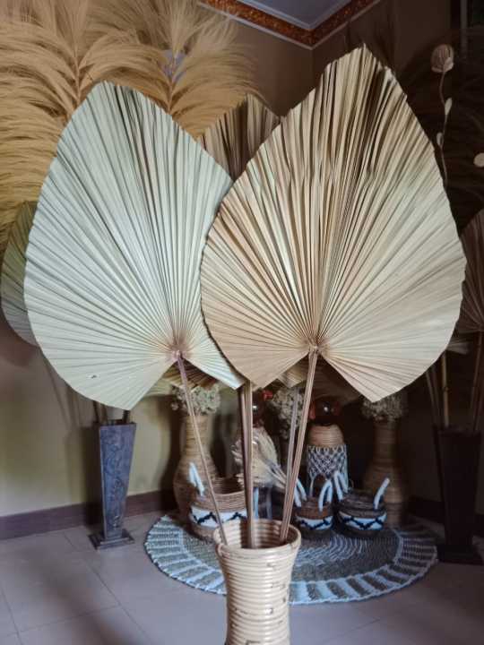 Daun Palem L/Besar Daun Palem Kering Daun Palem Rustic Ukuran L/Hiasan ...