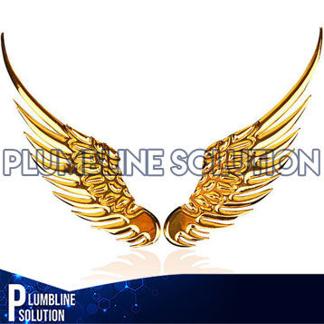 3D Elegant Wings Sticker Decal / Wing Stickers Decals Emblem for Motor ...