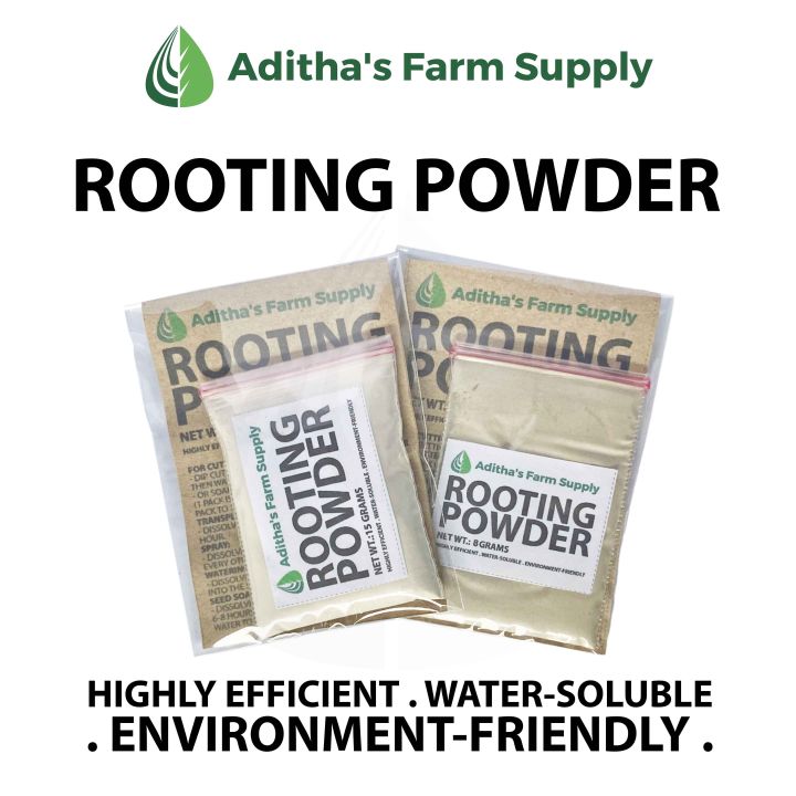 Rooting Powder (IBA + NAA) Highly Efficient, Water-soluble, Environment ...