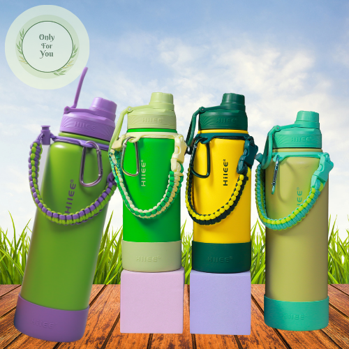 Fruit Vacuum Insulated Double Wall Tumbler Hilee Flask | Lazada PH