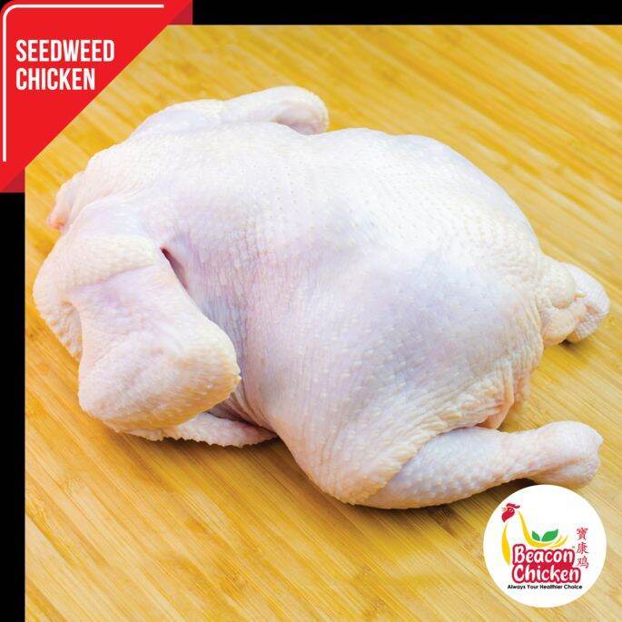 (Klang Valley) Beacon Seaweed Whole Chicken Chicken | Lazada