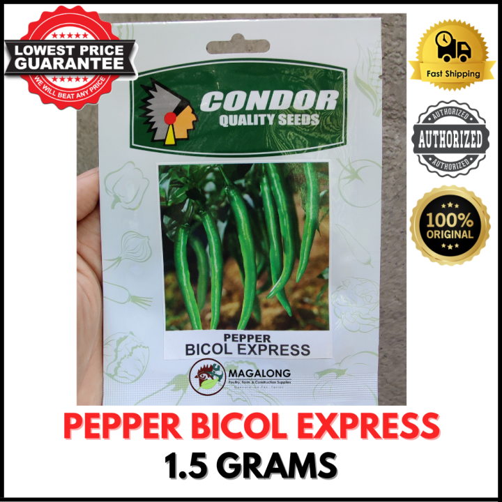 CONDOR SEEDS - PEPPER SEEDS - BICOL EXPRESS 1.5 Grams | Lazada PH