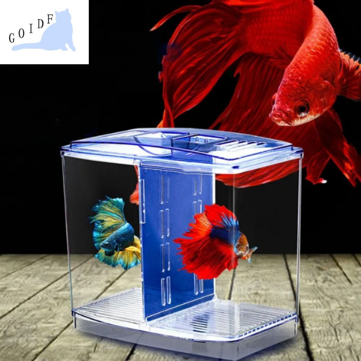 GOIDF Plastic Betta Fish Tank Transparent Single/Double Grid Fish ...