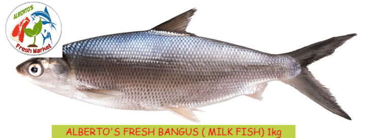 FRESH BANGUS 1kg | Lazada PH