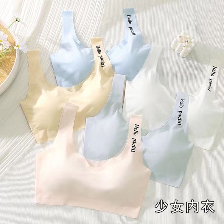 🛹KAYKAI🛹ชุดชั้นใน สปอร์ตบรา บราไร้โครง ไร้รอยต่อ บราแบบสวม เสริมฟองน้ำ ...