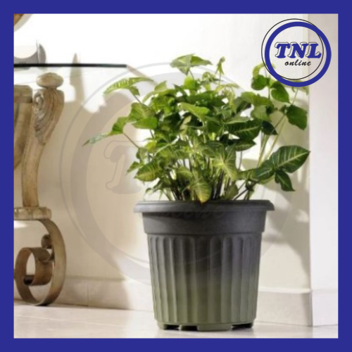 TNL BABA RD-310 31CM ROUND CYLINDER INSPIRED BY ROMAN PILLAR DESIGN ...