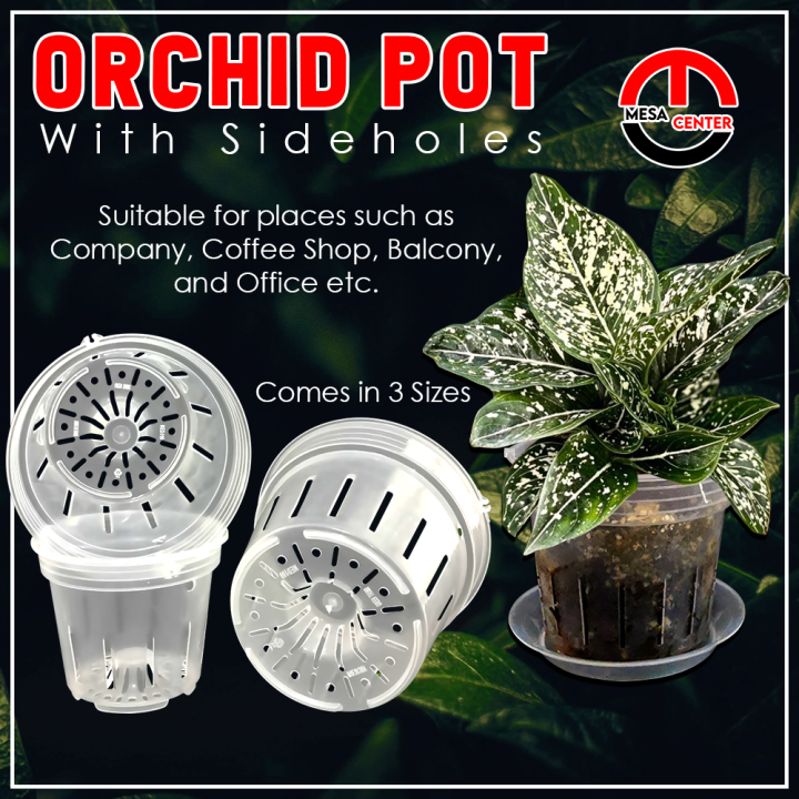 Orchid Pot Net Pots Flower Plant Planting Holes Clear Hydroponic Cup ...