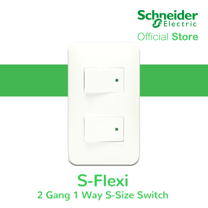 Schneider S-Flexi 2 Gang 1 Way Standard Size Switch (CA-FS1W2GS-SA-G20 ...