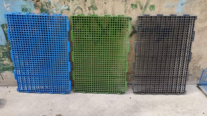 2 by 3 ft GOAT MATTING GREEN | Lazada PH