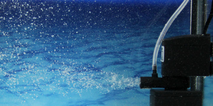 Seaquest 2200 Powerhead Submersible Pump 25watts 2500L/hr for ...
