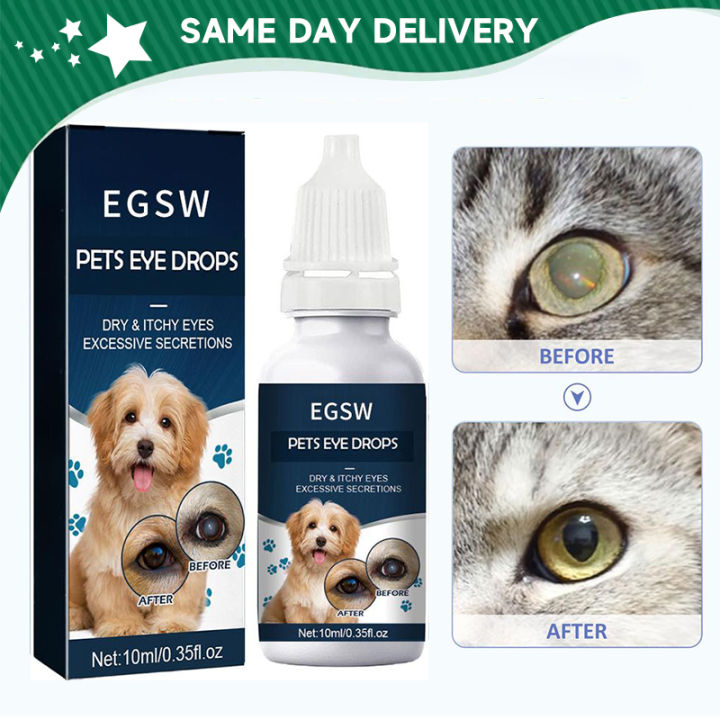 10ml Pet Eye Drops Safe Cataract Drops for Dogs Remove Eye Sns and ...
