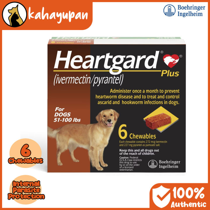 Heartgard Plus Deworming Chewables for Large Dogs 23-43kg | Lazada PH
