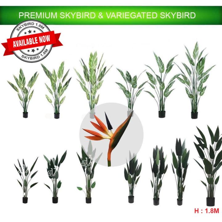 Pokok Skybird PREMIUM Olive Tree PREMIUM Artificial Plant Pokok Viral (READYSTOCKS) | Lazada