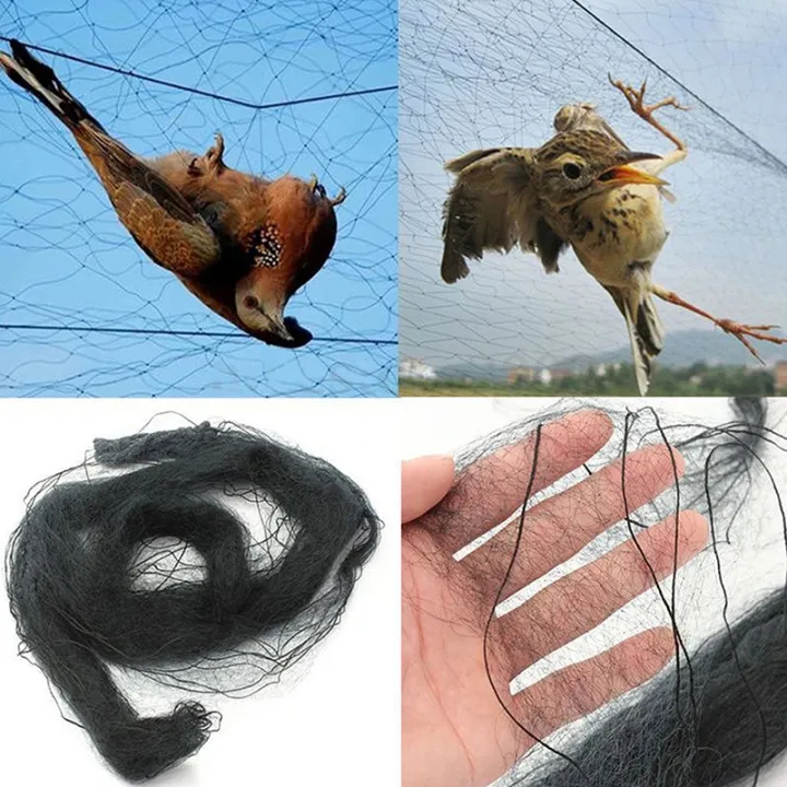 [Wondering] 8x3m Anti Bird Mesh Garden Bird Netting Crops Fruits ...