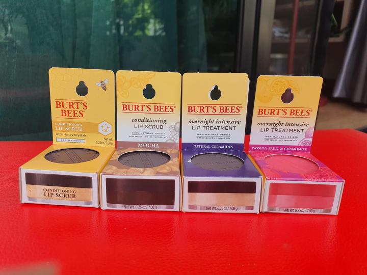 Burt's Bees 100% Natural Overnight Intensive Lip Treatment (7g ...