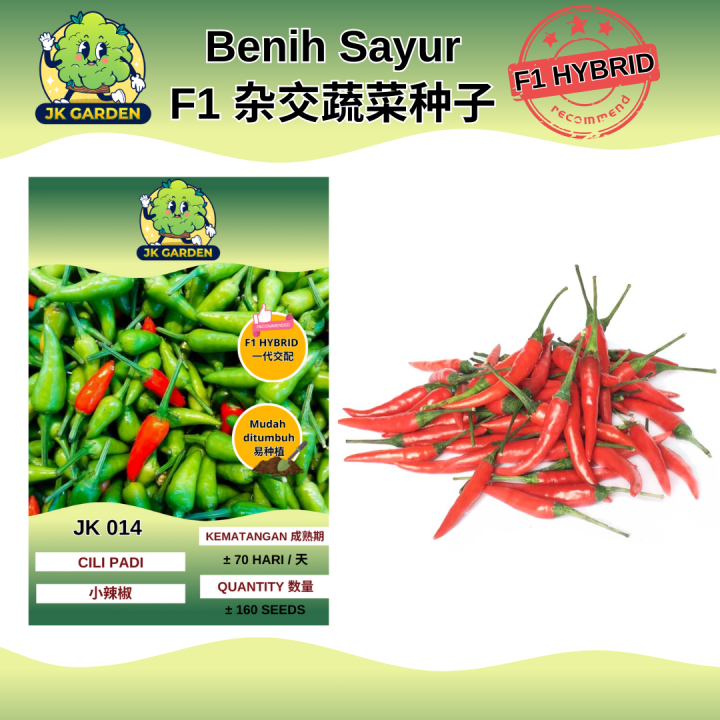 【Repack F1 Hybrid biji benih】Cili Padi / F1家庭园艺小辣椒种子 | Lazada